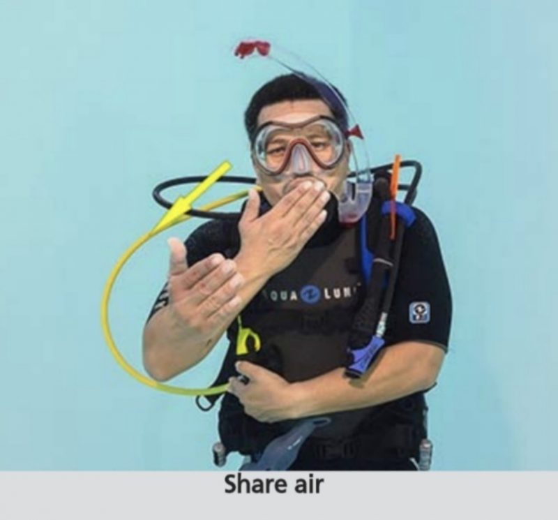 스쿠버다이빙 교육, 어디서 누구에게 받을까? (단체, 강사 선택 방법에 대한 조언) - 다이빙홀릭